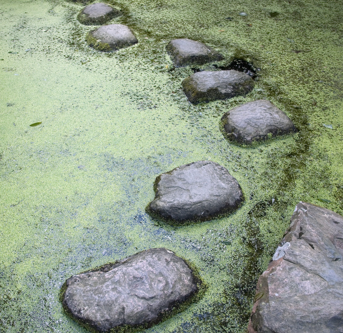 StepStone raising largest dedicated VC secondaries fund