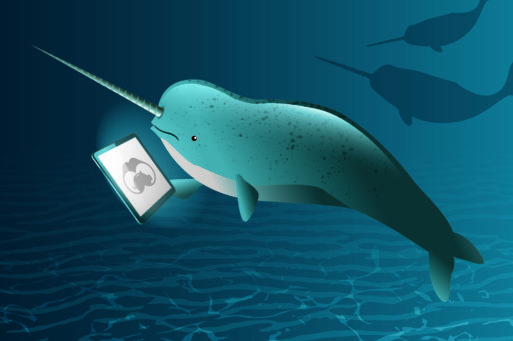 Breaking through the ice: How Canada’s narwhal club was born